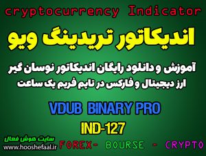 دانلود رایگان و آموزش اندیکاتور نوسان گیری Vdub Binary Pro برای ارز دیجیتال و فارکس در تریدینگ ...
